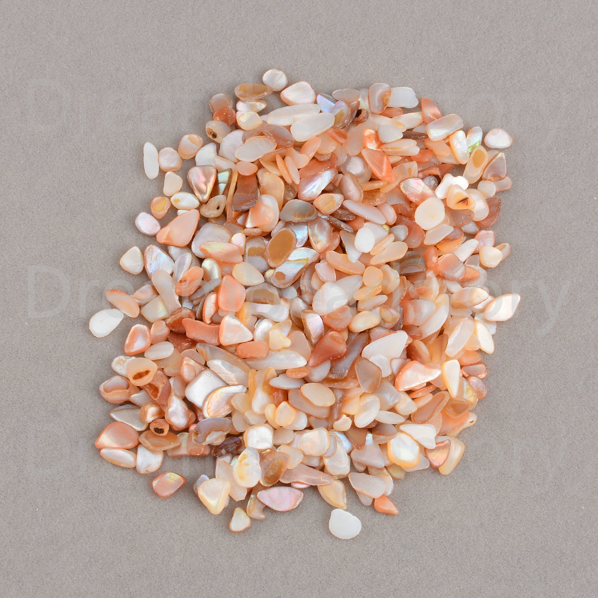 10-500g Undrilled Natural Freshwater Shell Irregular Chips/ | Etsy