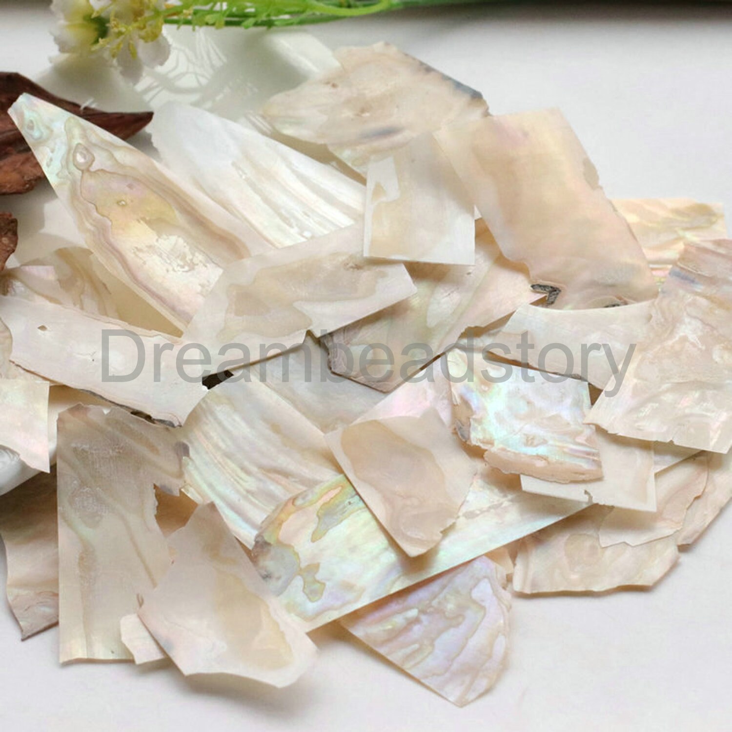 10-1000g Undrilled Large Size Natural Freshwater Shell Chips - Etsy