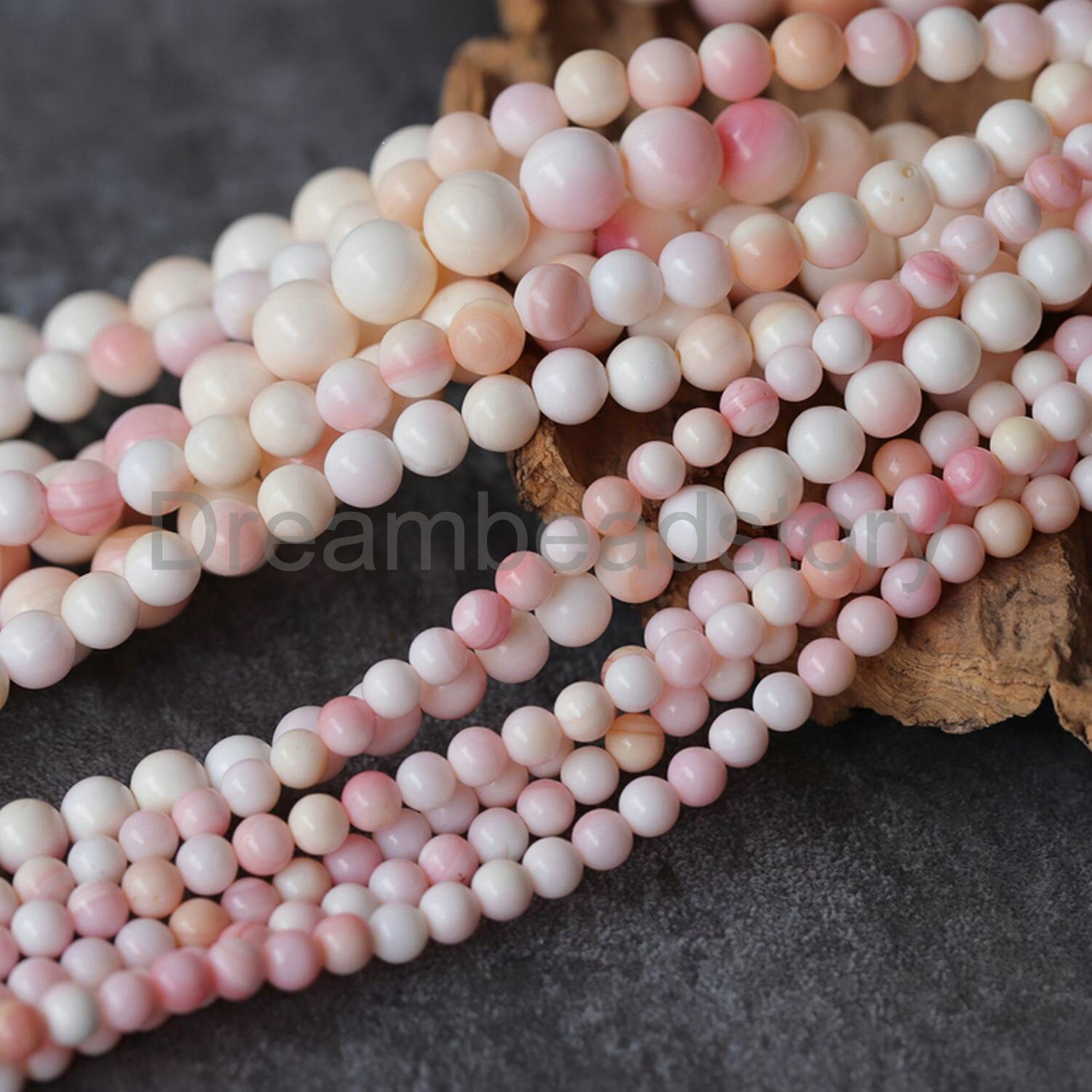 Natural Blush Pink Queen Conch Shell Round 4mm 6mm 8mm 10mm - Etsy