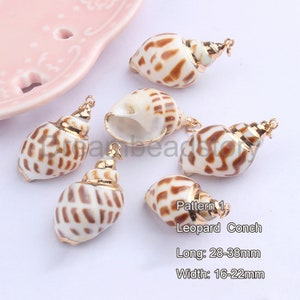2-100 Pcs Natural Conch Shell/ Fan Shell Charm Pendant Beads for ...