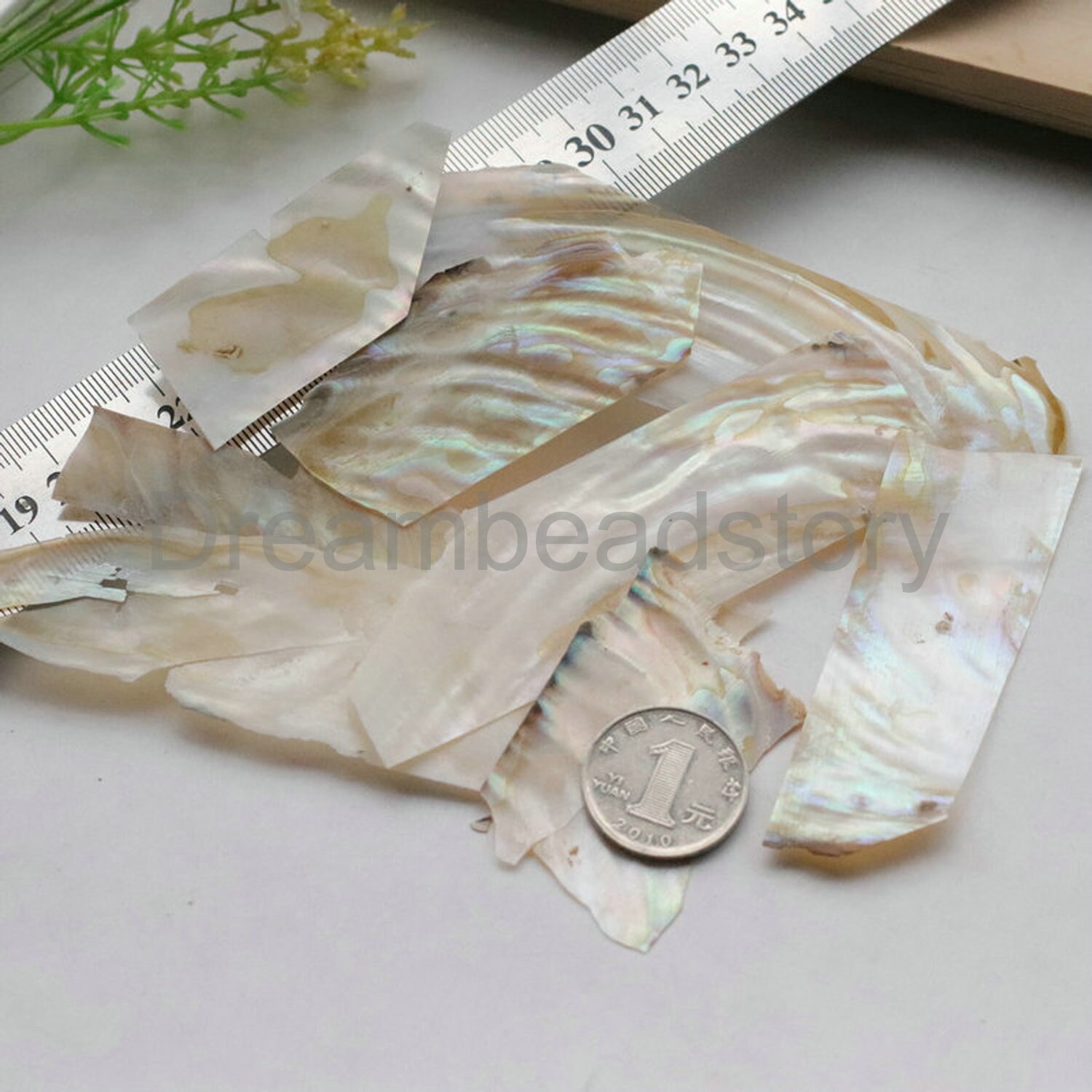 10-1000g Undrilled Large Size Natural Freshwater Shell Chips - Etsy