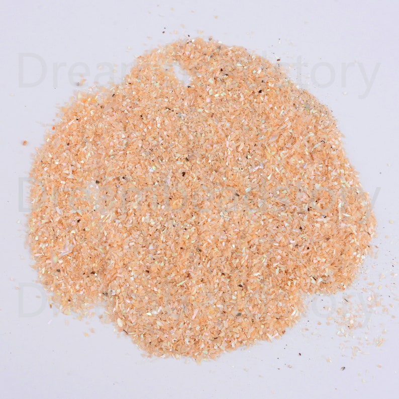 5-500g Tiny Small Natural Abalone Shell Chips Flakes Powder | Etsy