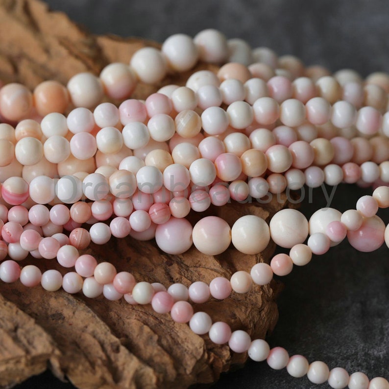 Natural Blush Pink Queen Conch Shell Round 4mm 6mm 8mm 10mm - Etsy