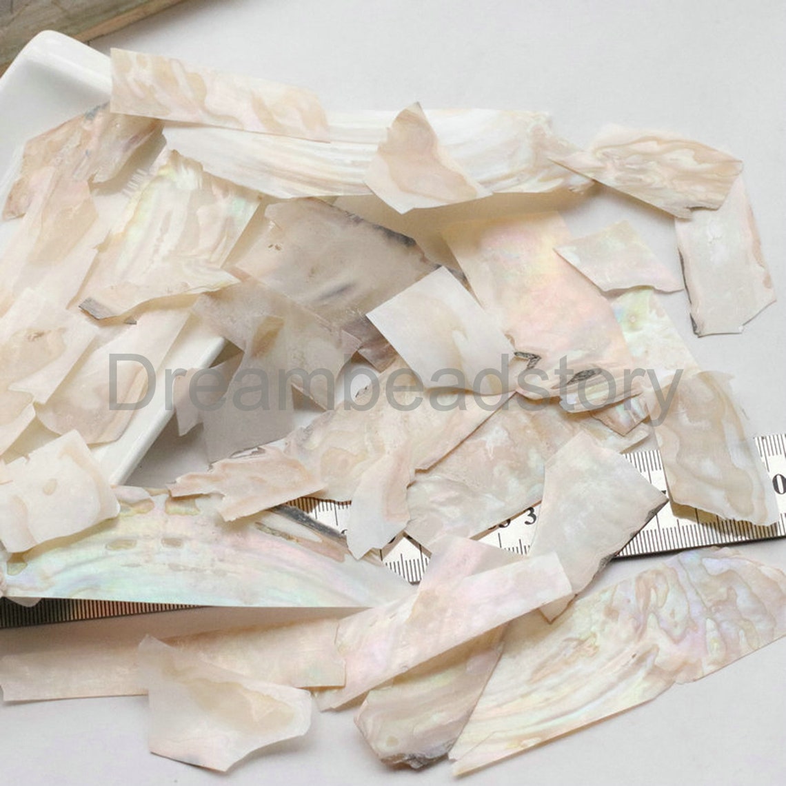 10-1000g Undrilled Large Size Natural Freshwater Shell Chips - Etsy