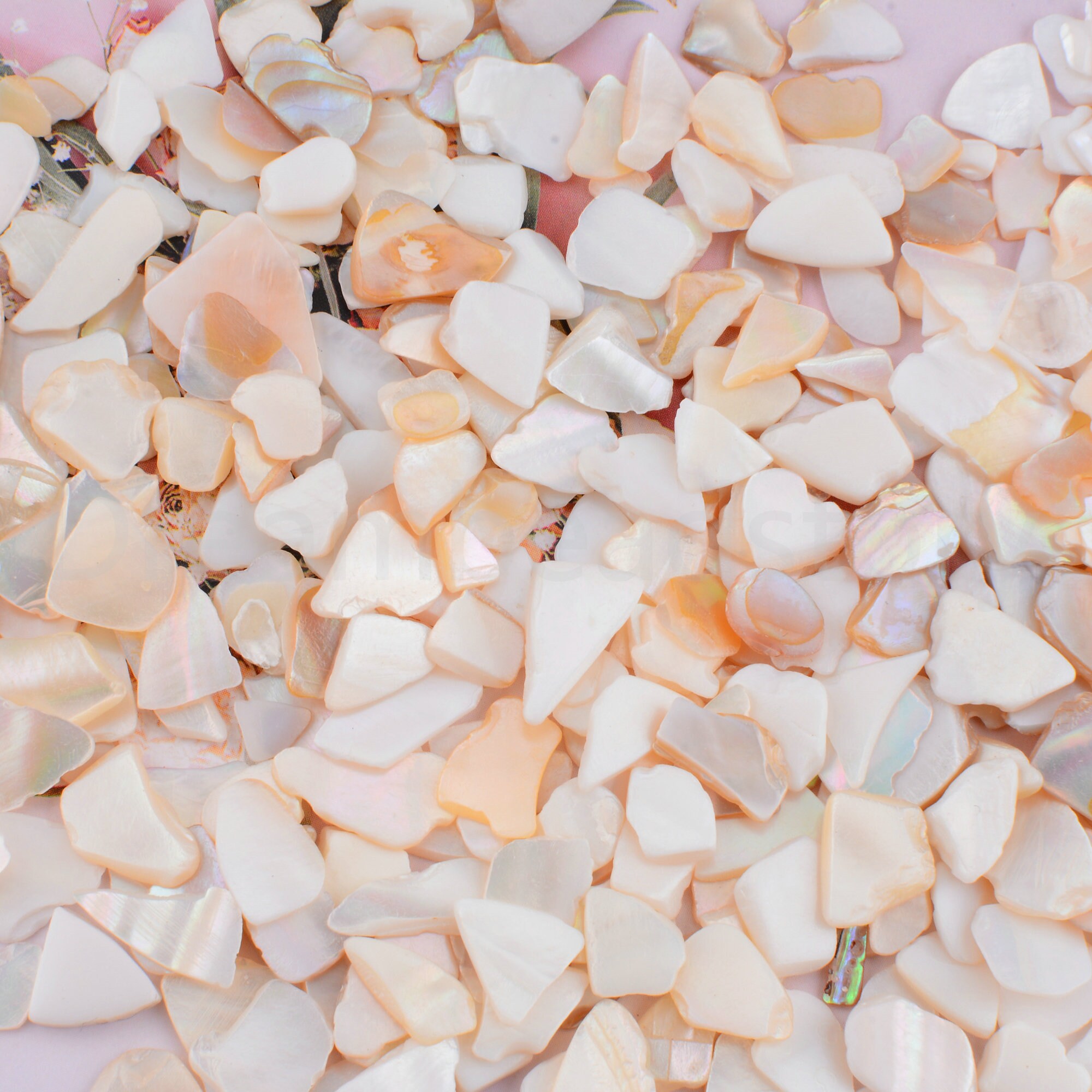 10-1000g Natural MOP Shell Irregular Thick Chips/ Undrilled - Etsy