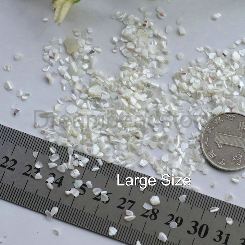 10-500g Natural White MOP Shell Tiny Small Undrilled Chips Flakes for ...