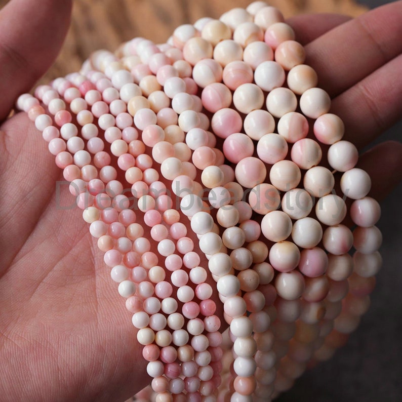 Natural Blush Pink Queen Conch Shell Round 4mm 6mm 8mm 10mm - Etsy