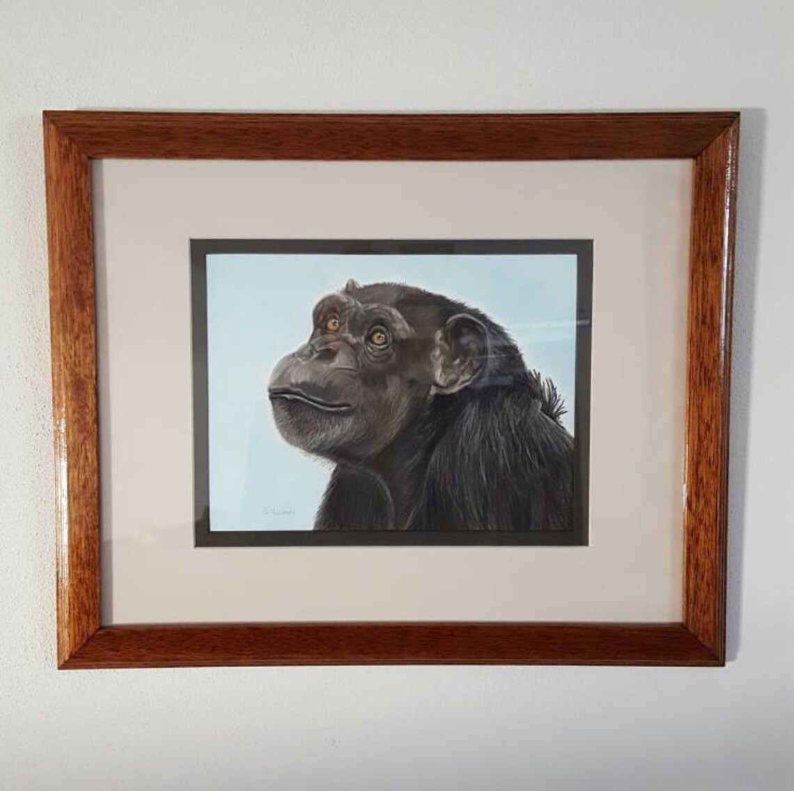 Chimpanzee Art Print, Monkey Art and Decor, Annie the Chimp Portrait ...