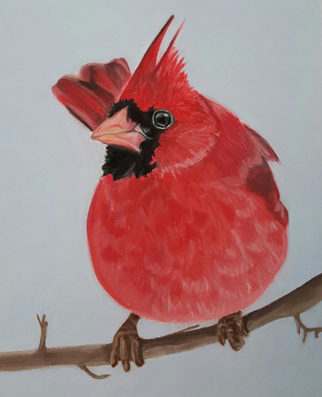 Cardinal Art Print, Bird Decor, Bird Gift, Winter Art - Fine Art Giclee ...