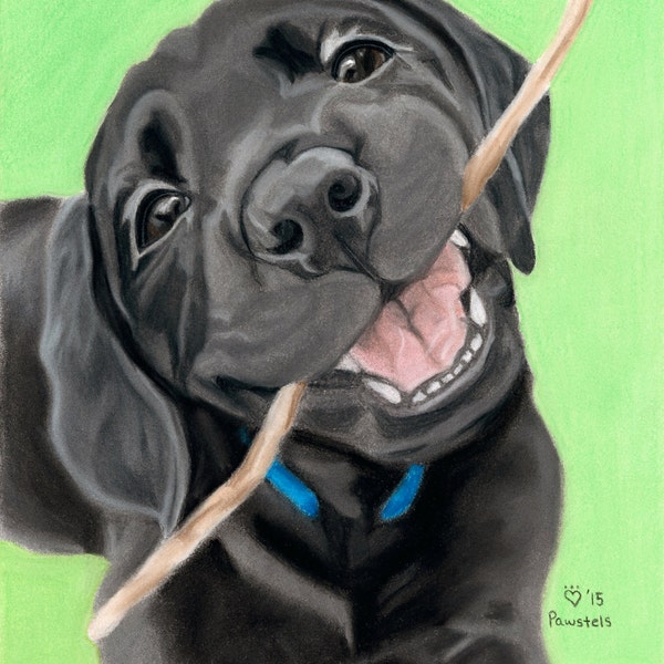 Labrador Fine Art Print - Etsy