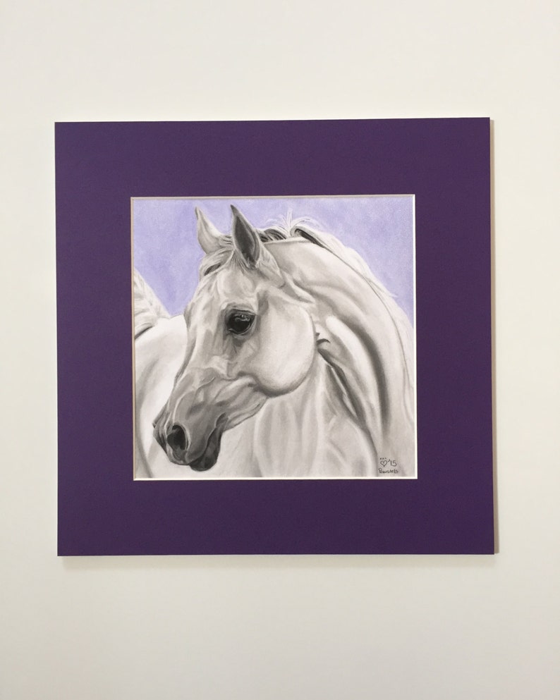 White Arabian Horse Art Print, Horse Portrait - Fine Art Giclee Print ...
