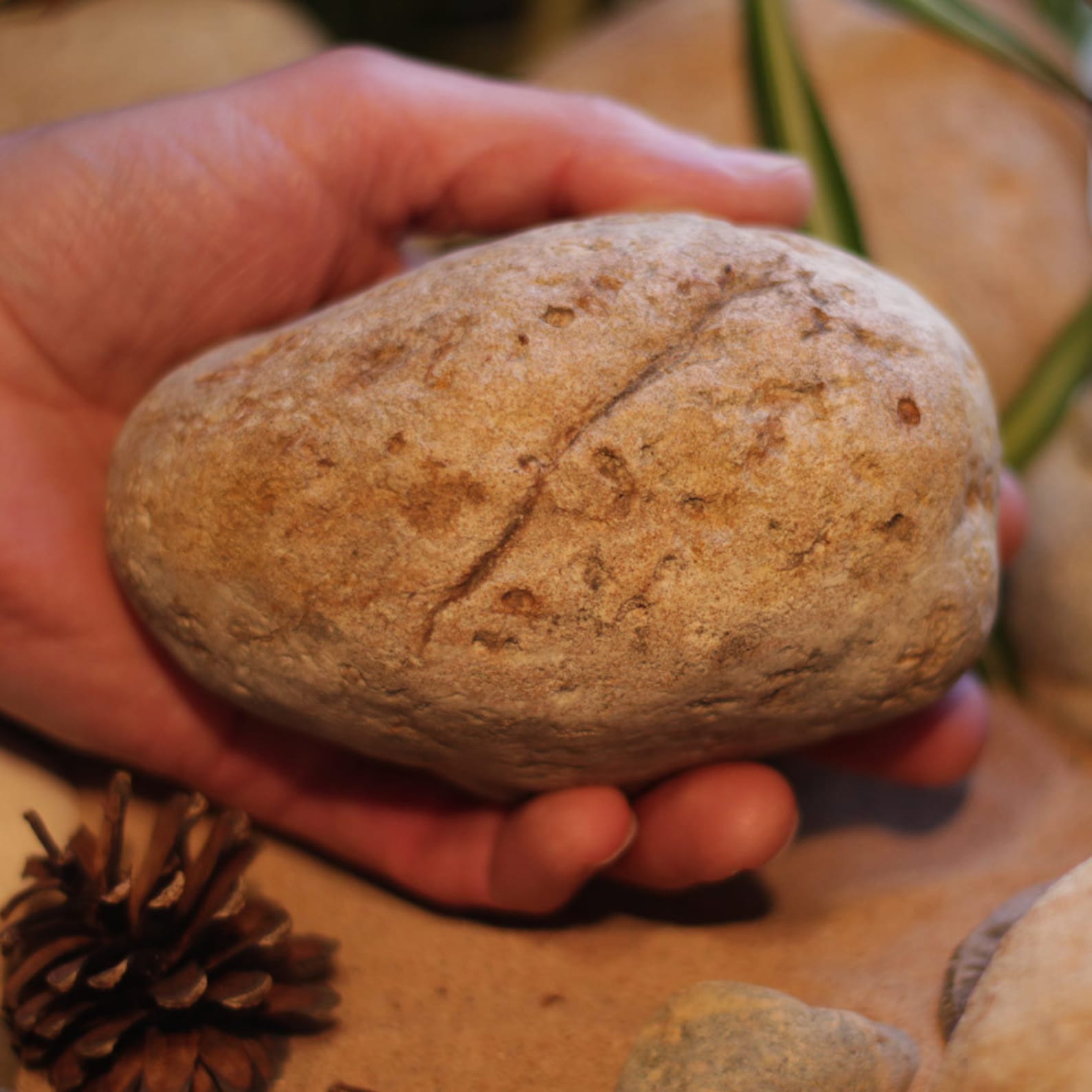 Snoozing Stones horis Outdoor Stone Effect Sleeping | Etsy UK