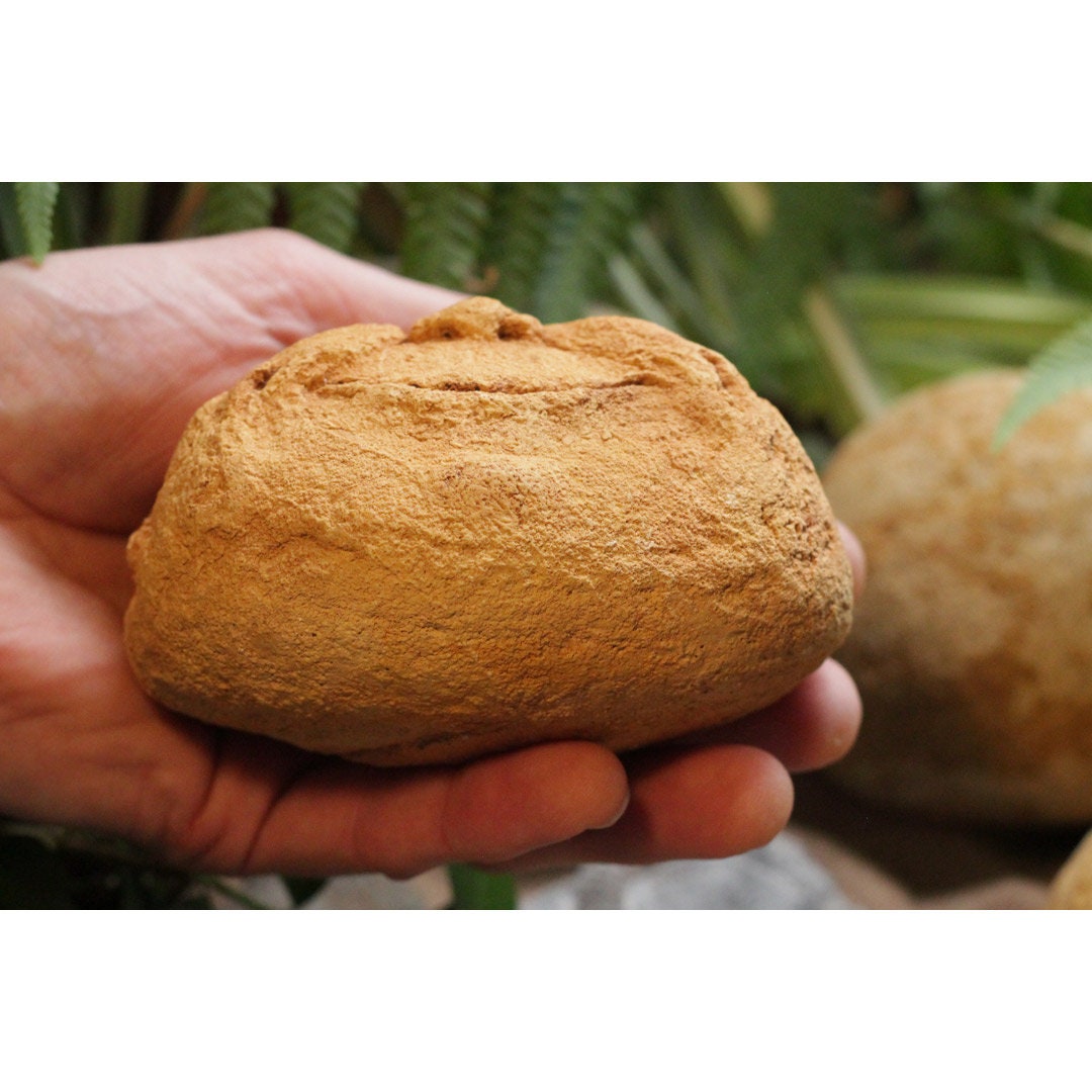 Snoozing Stones sidney Smile Outdoor Stone Effect Sleeping - Etsy UK