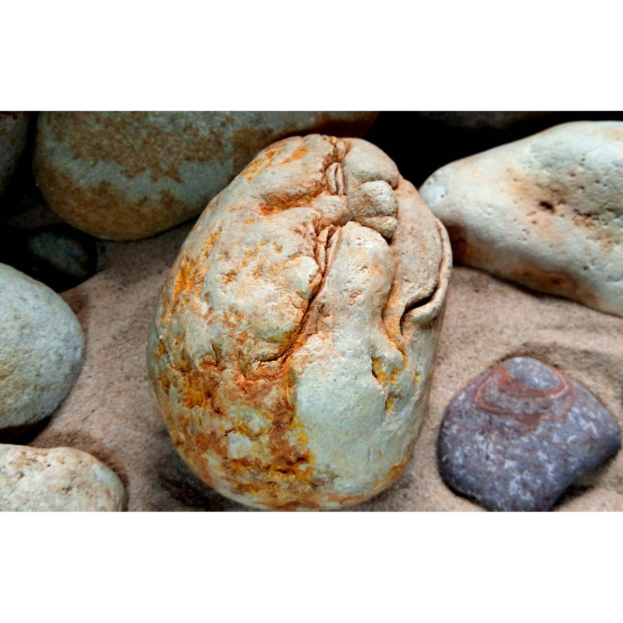 Snoozing Stones - ‘horis’ Outdoor Stone Effect Sleeping Character ...