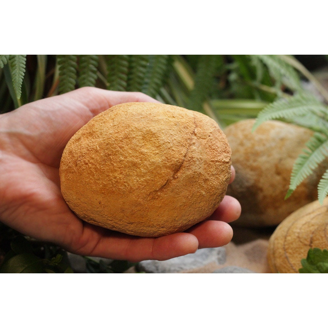 Snoozing Stones sidney Smile Outdoor Stone Effect Sleeping - Etsy UK