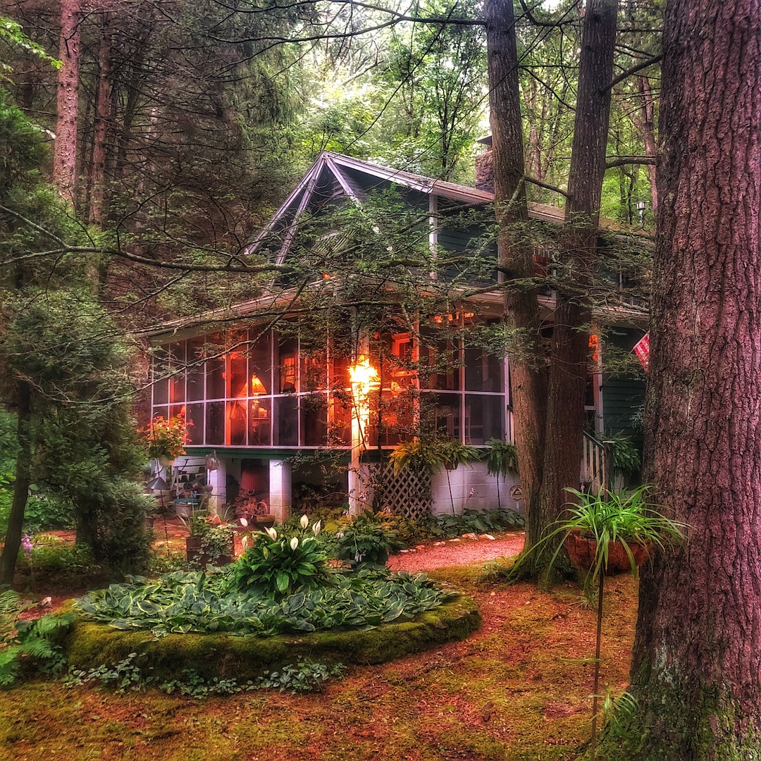 The Enchanted Woods - Etsy