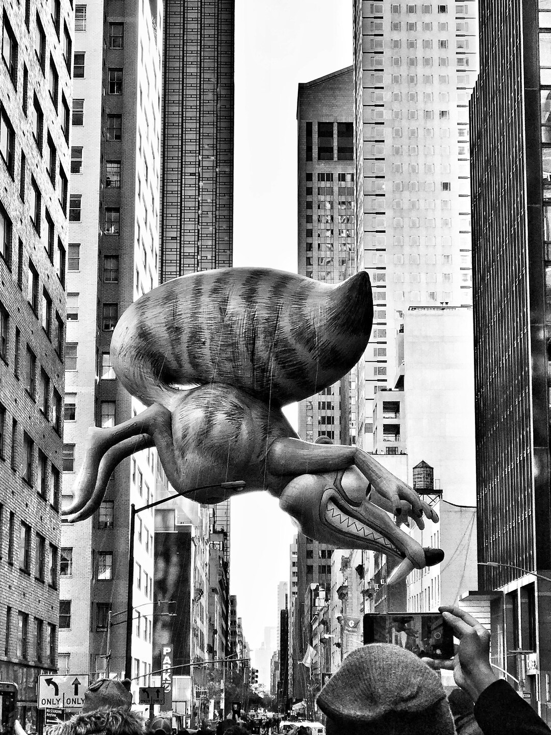 NYC Thanksgiving Day Parade - Etsy