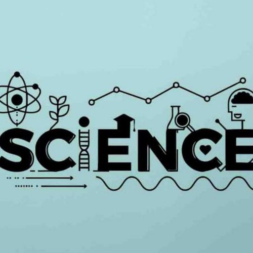 Classroom Rules Wall Decal Classroom Sign Vinyl Sticker - Etsy