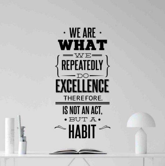 We Are What We Repeatedly Do Poster