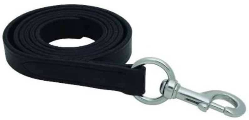 Leather Lead Rope With Custom Engraved Plate Made in the USA | Etsy