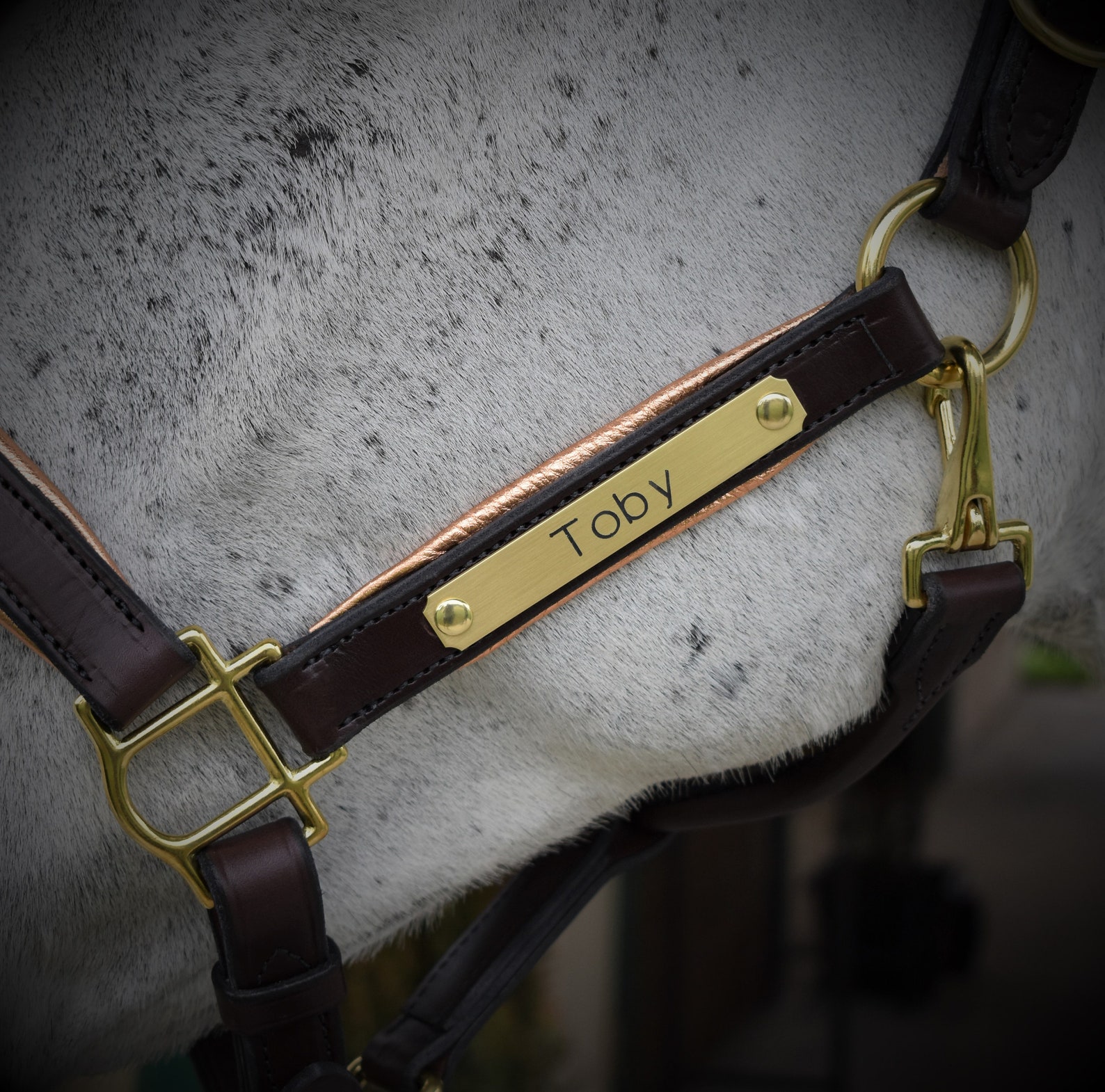 Custom Rose Gold Padded Leather Halter W/ Engraved Name Plate | Etsy