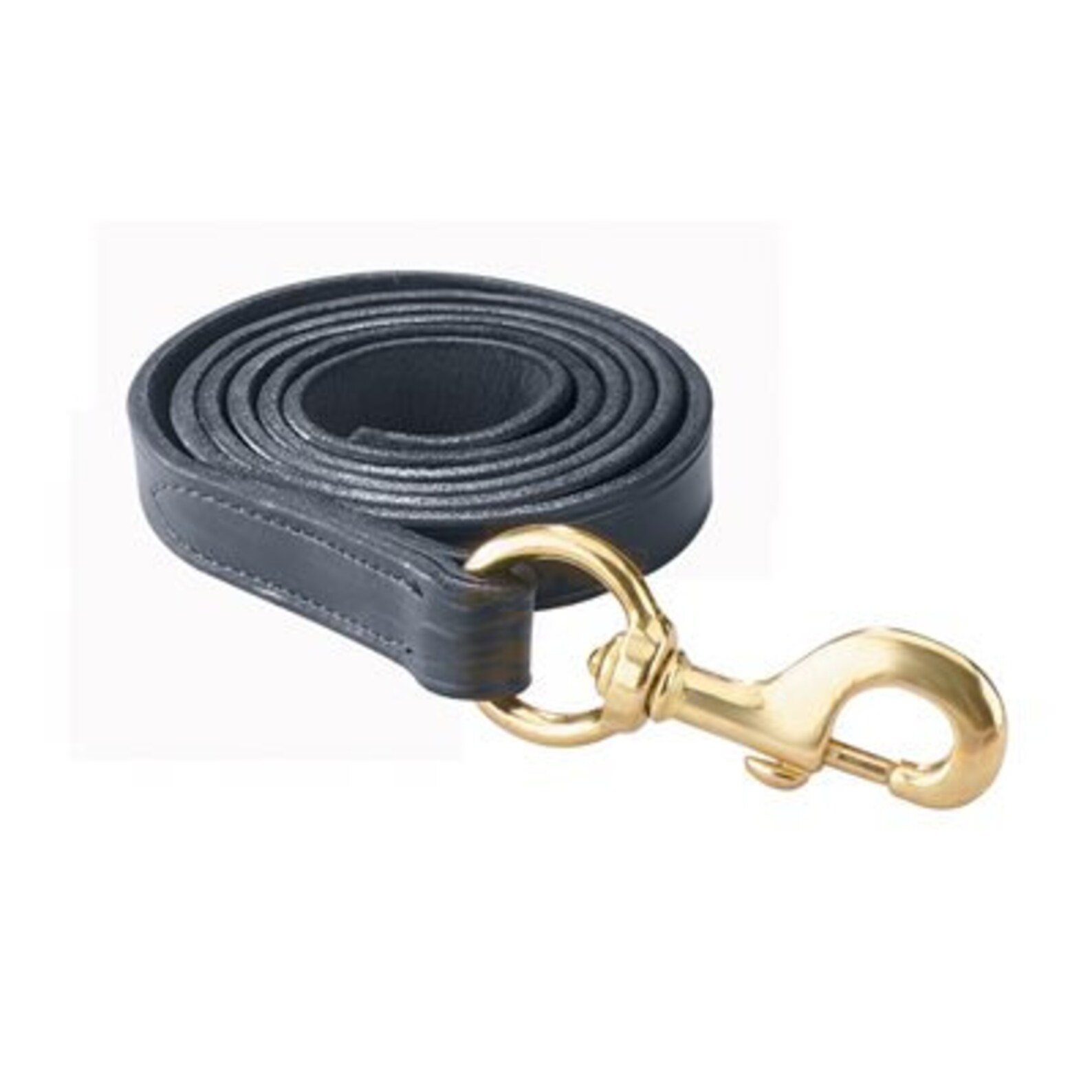 Leather Lead Rope With Custom Engraved Plate Made in the USA | Etsy