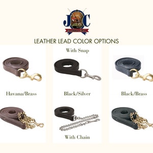 Leather Lead Rope With Custom Engraved Plate - Made in the USA - Etsy