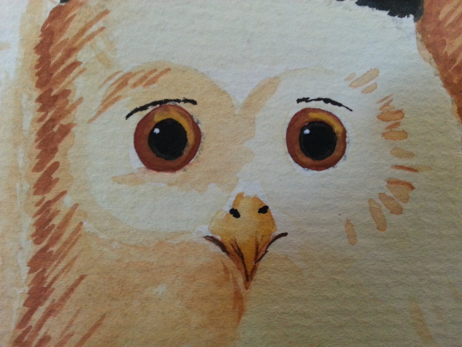 Owl Babies Mark Waddell Watercolour Painting Illustration Drawing Baby ...