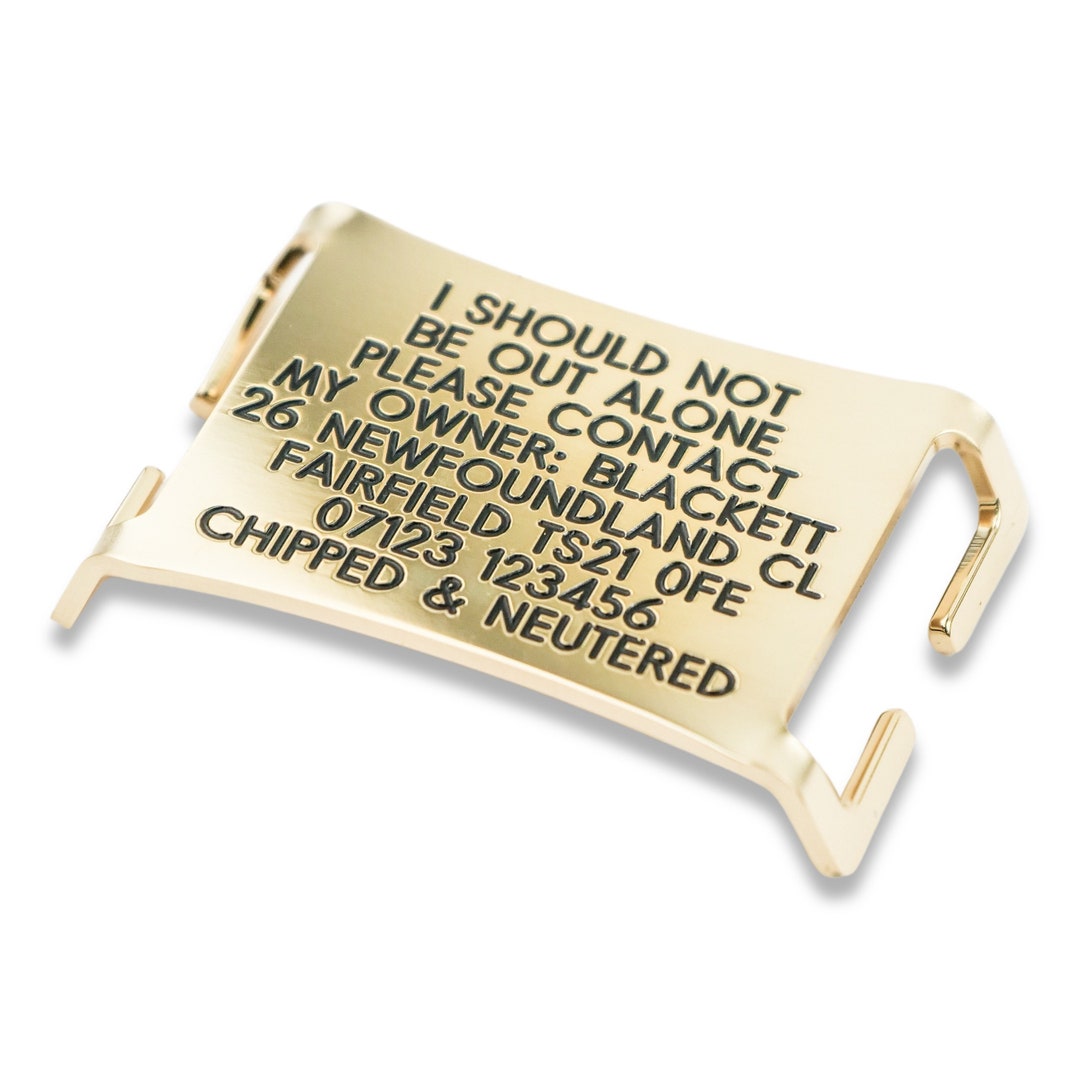 Easy Fit Agility Dog Tag, Solid Brass With Deep Engraving, Fits Collars ...