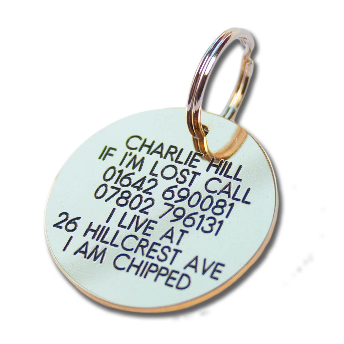 Deeply Engraved Solid Brass Dog Tag 39mm Round | Etsy