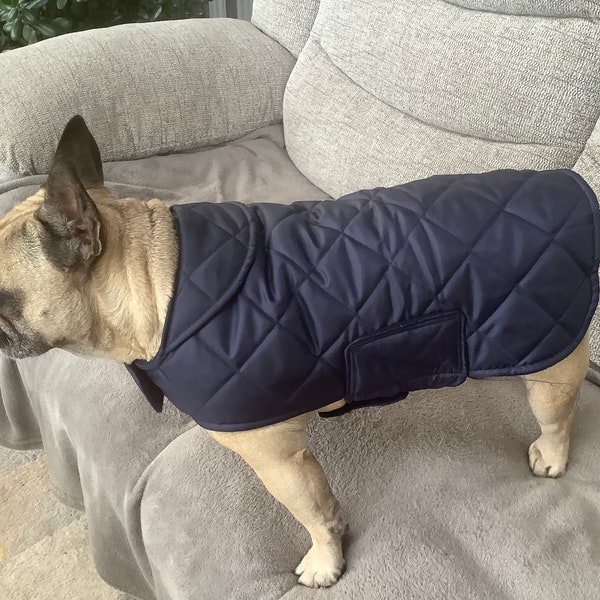 French Bulldog Clothing - Etsy