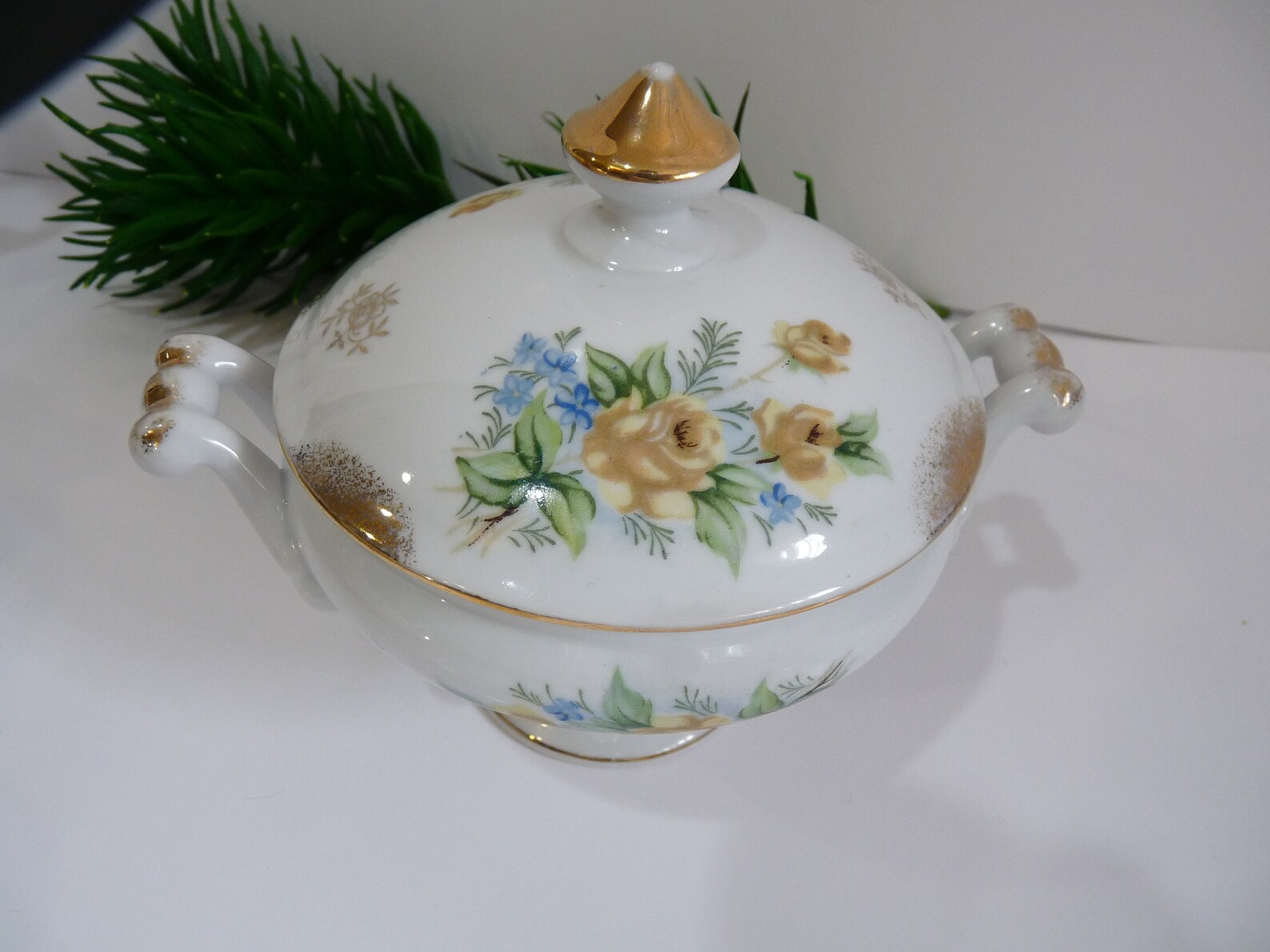 Vintage Hand Painted Japanese Bone China Porcelain Large Sugar Bowl ...