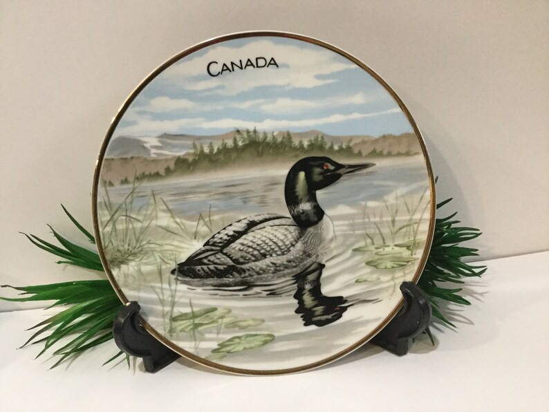 Vintage Collectible Canada the Common Loon Hand Painted Design ...