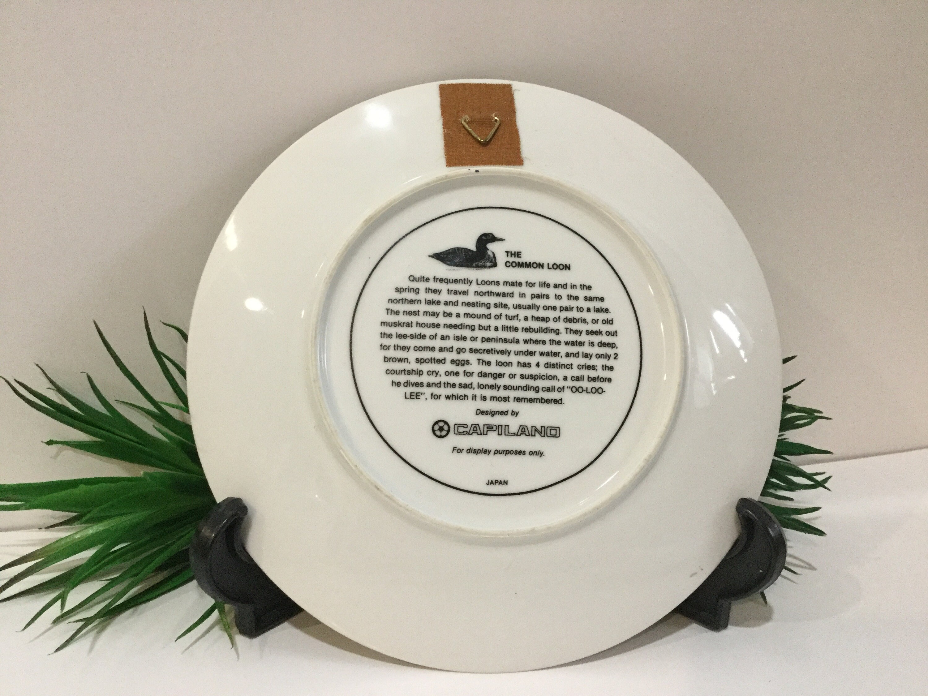 Vintage Collectible Canada the Common Loon Hand Painted Design ...