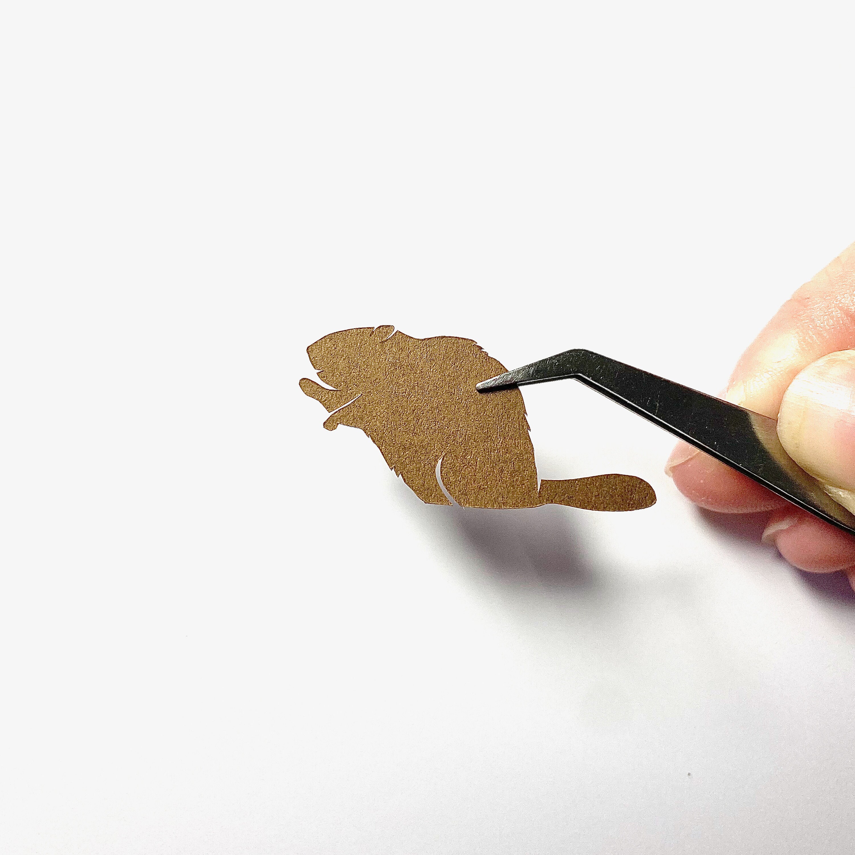 Beaver Birch Tree Forest Mini Layered Paper Artwork - Etsy Canada