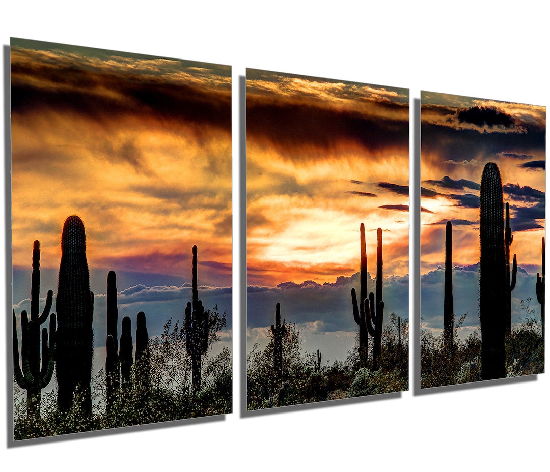 Metal Prints - Sonoran Desert, Arizona Sunset Wall Art - 3 Panel Split ...
