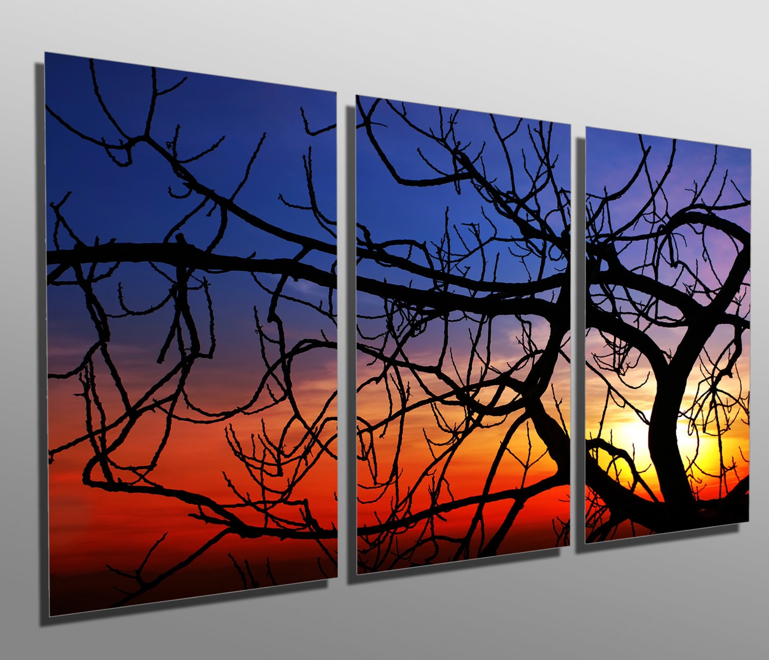 Metal Print - Tree Fig at Sunset - 3 Panel Split (triptych) - Metal ...