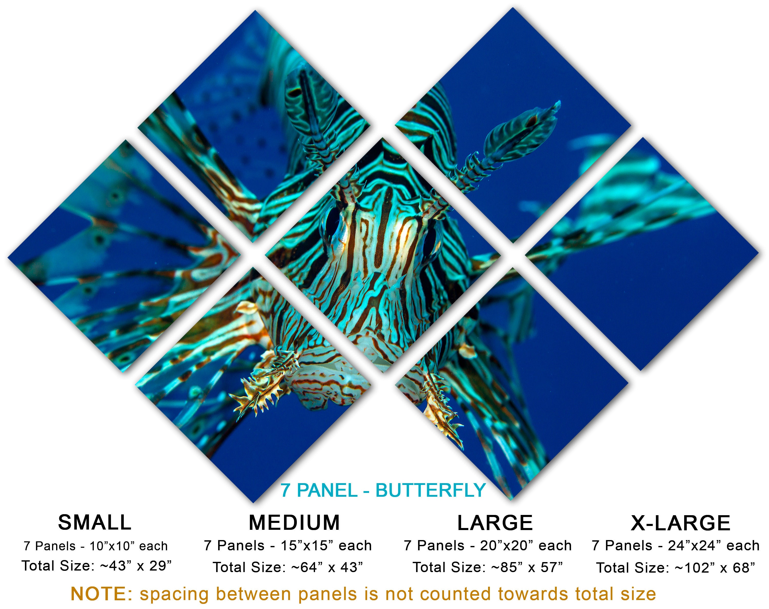 Metal Print - Red Sea Lionfish Wall Art Closeup - 3 Panel Split ...