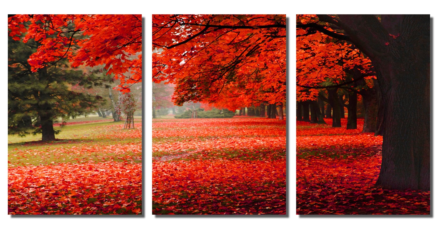 Metal Print Red Autumn in the Park 3 Panel Split Triptych - Etsy