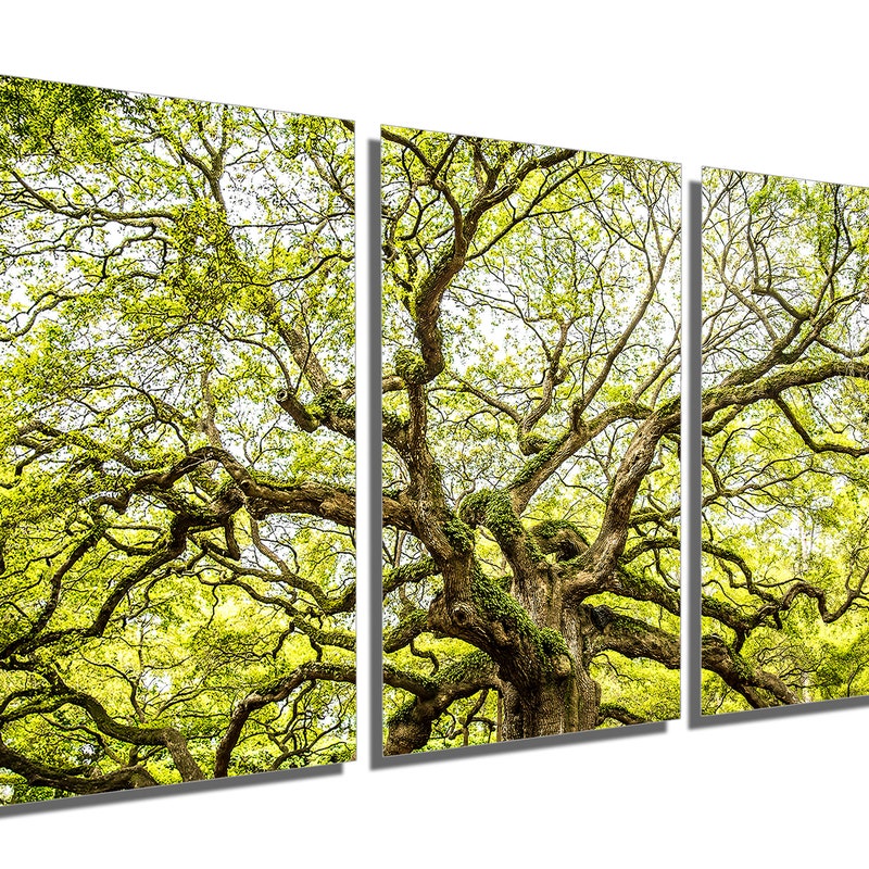 Angel Oak - Etsy