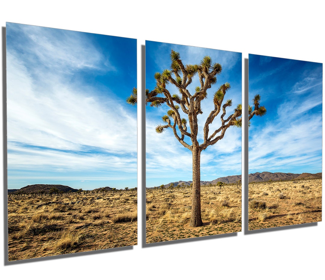 Metal Prints - Joshua Tree National Park Wall Art -3 Panel Split ...
