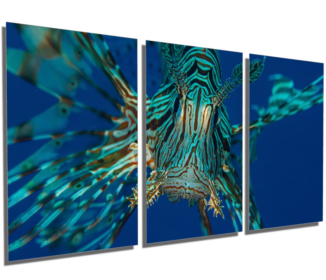 Metal Print - Red Sea Lionfish Wall Art Closeup - 3 Panel Split ...