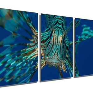 Metal Print - Red Sea Lionfish Wall Art Closeup - 3 Panel Split ...