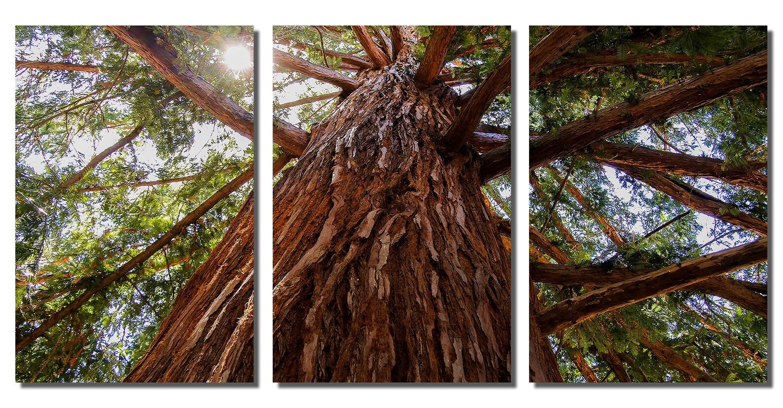 Metal Prints - Sequoia Redwood Tree Bark - 3 Panel Split, Triptych ...