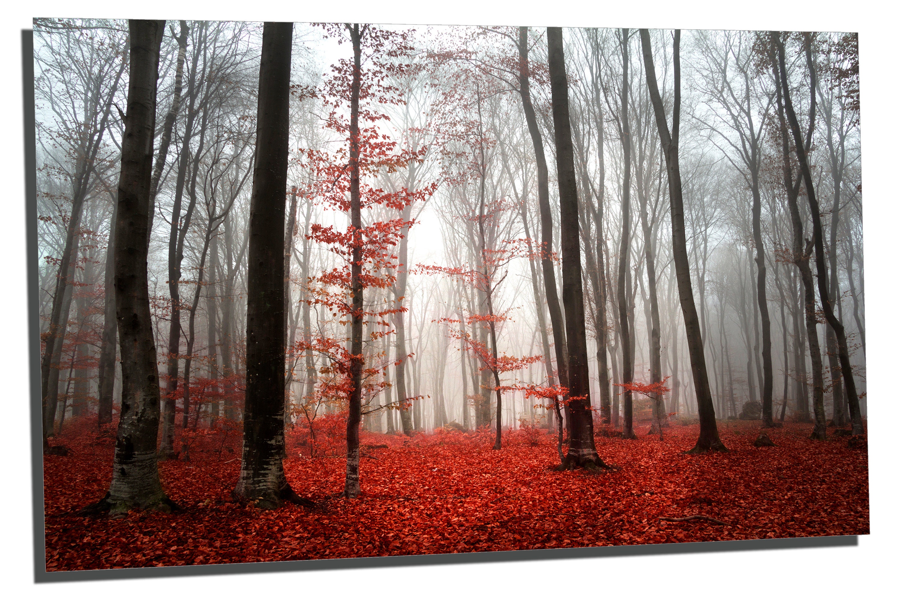 Metal Prints - Red Forest Mist -3 Panel Split, Triptych - Multi Panel ...