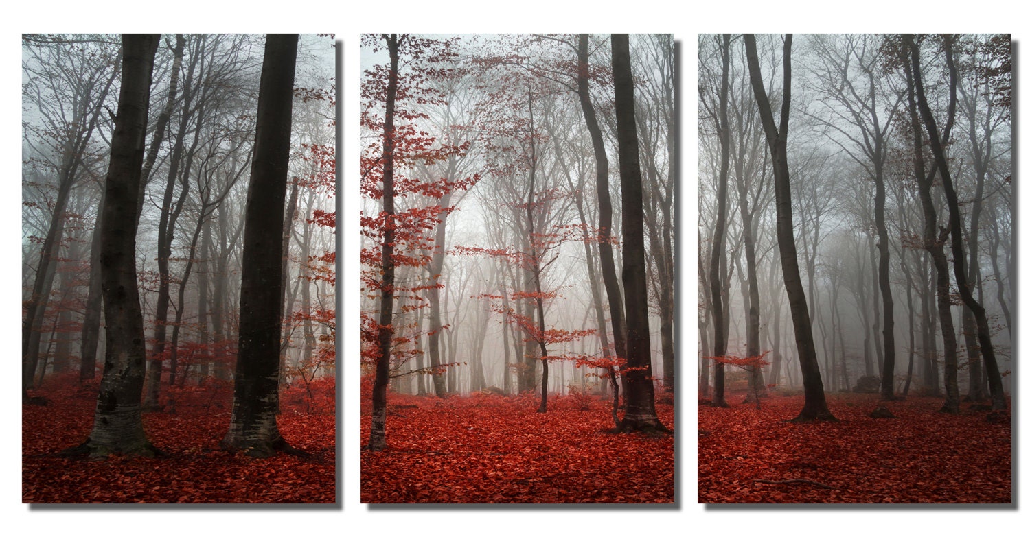 Metal Prints - Red Forest Mist -3 Panel Split, Triptych - Multi Panel ...
