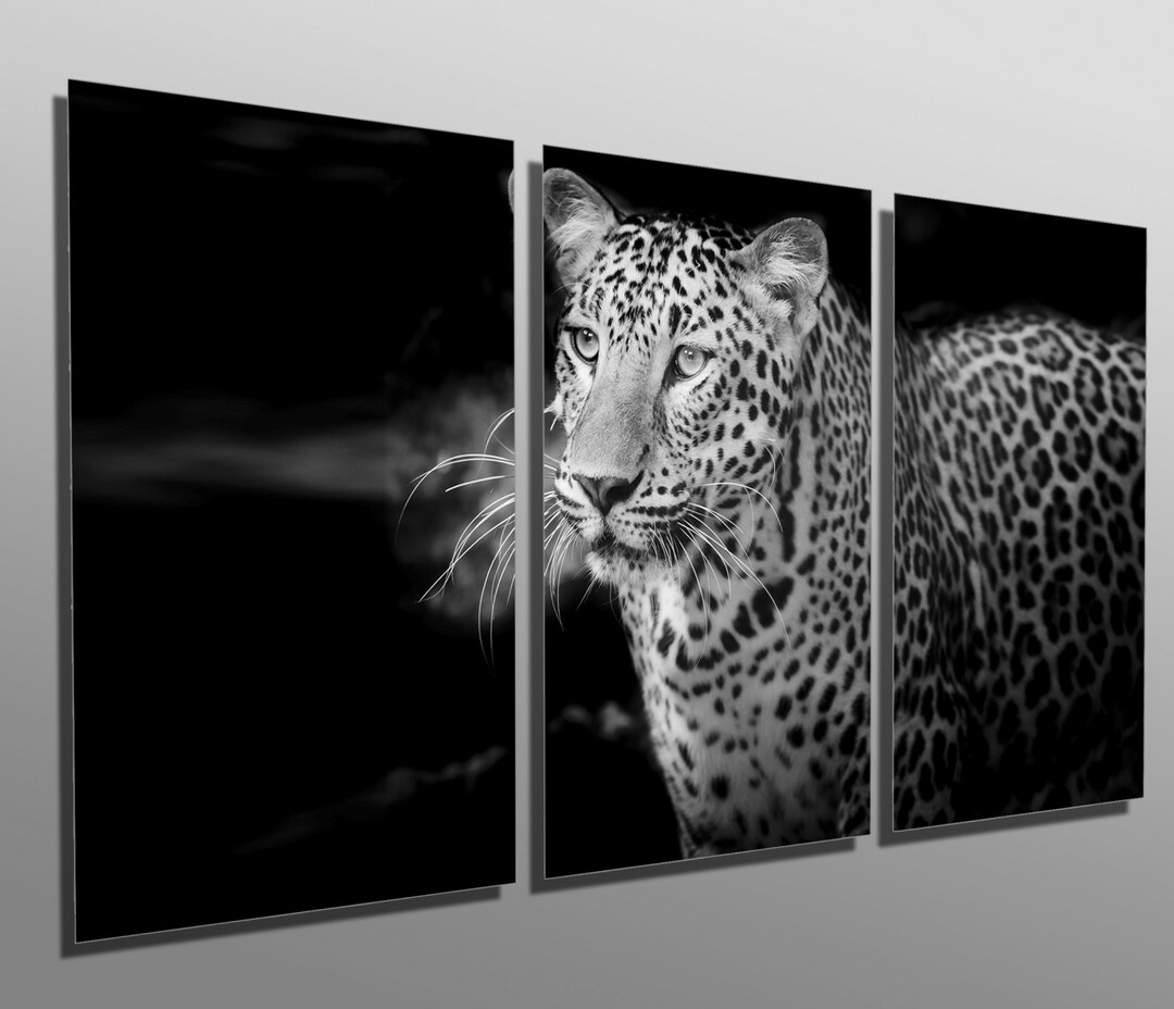 Metal Prints - Leopard B&W Portrait -3 Panel Split, Triptych - Multi ...