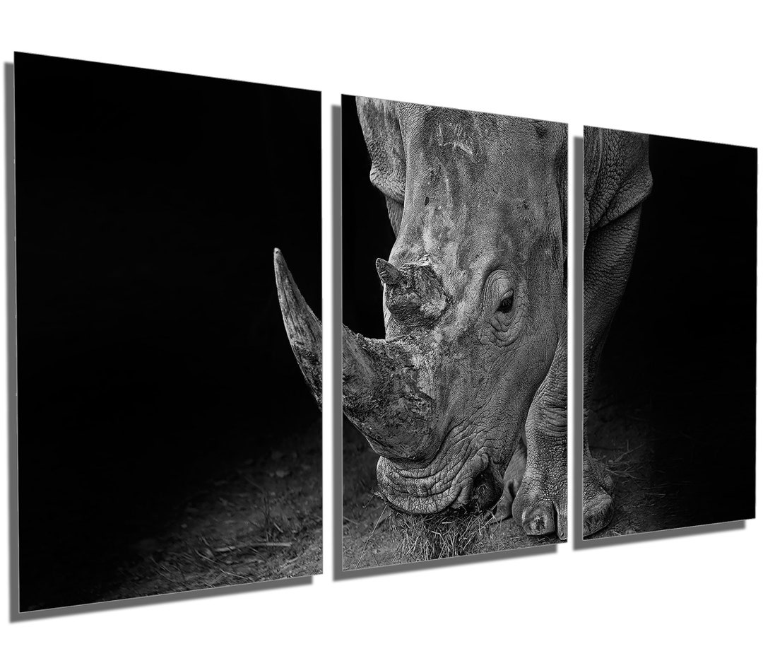 Metal Prints - Rhinoceros Wall Art Rhino - 3 Panel Split (triptych ...