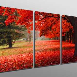 Metal Print - Red Autumn in the Park - 3 Panel Split, Triptych - Metal ...