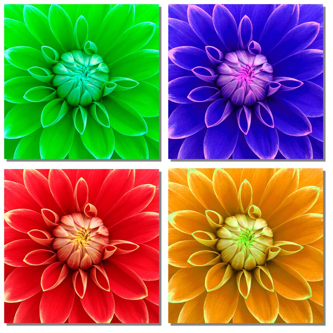 Metal Prints Flower Pop Art 4 Panel Split Quad Metal Etsy metal-prints-flower-pop-art-4-panel-split-quad-metal-etsy